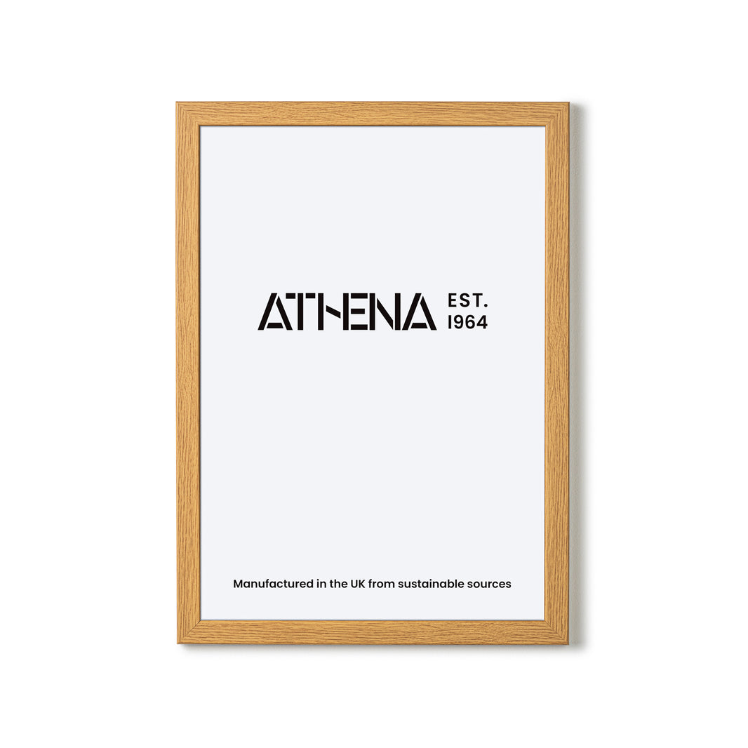 Athena Posters, Athena Art Prints and Affordable Art - company history ...